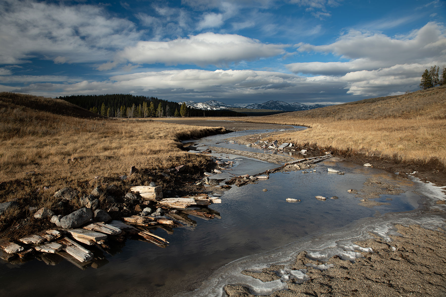 Yellowstone Wildlife Watching Tours
